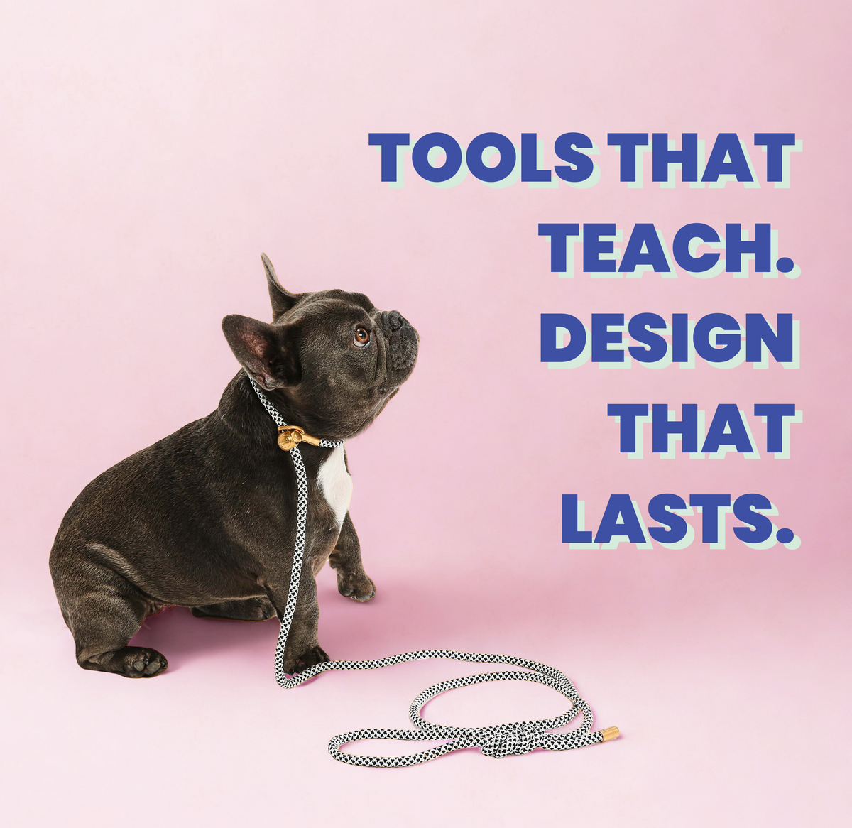 Bubble & Spike - Inspired Dog Accessories – Bubble & Spike