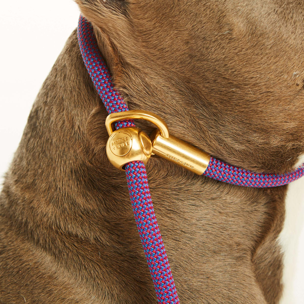Classic Simple Slip Lead - Bubble & Spike