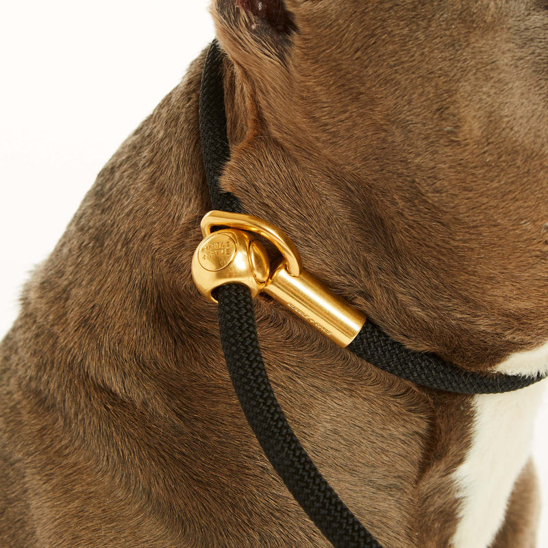 Classic Simple Slip Lead - Bubble & Spike