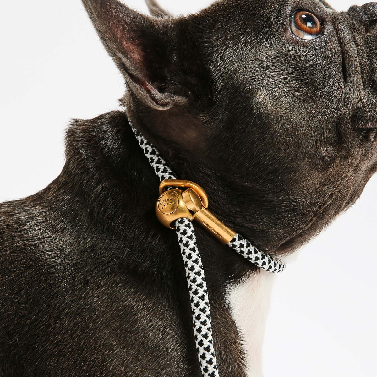 Mini Black Diamond Simple Slip Lead® - Bubble & Spike