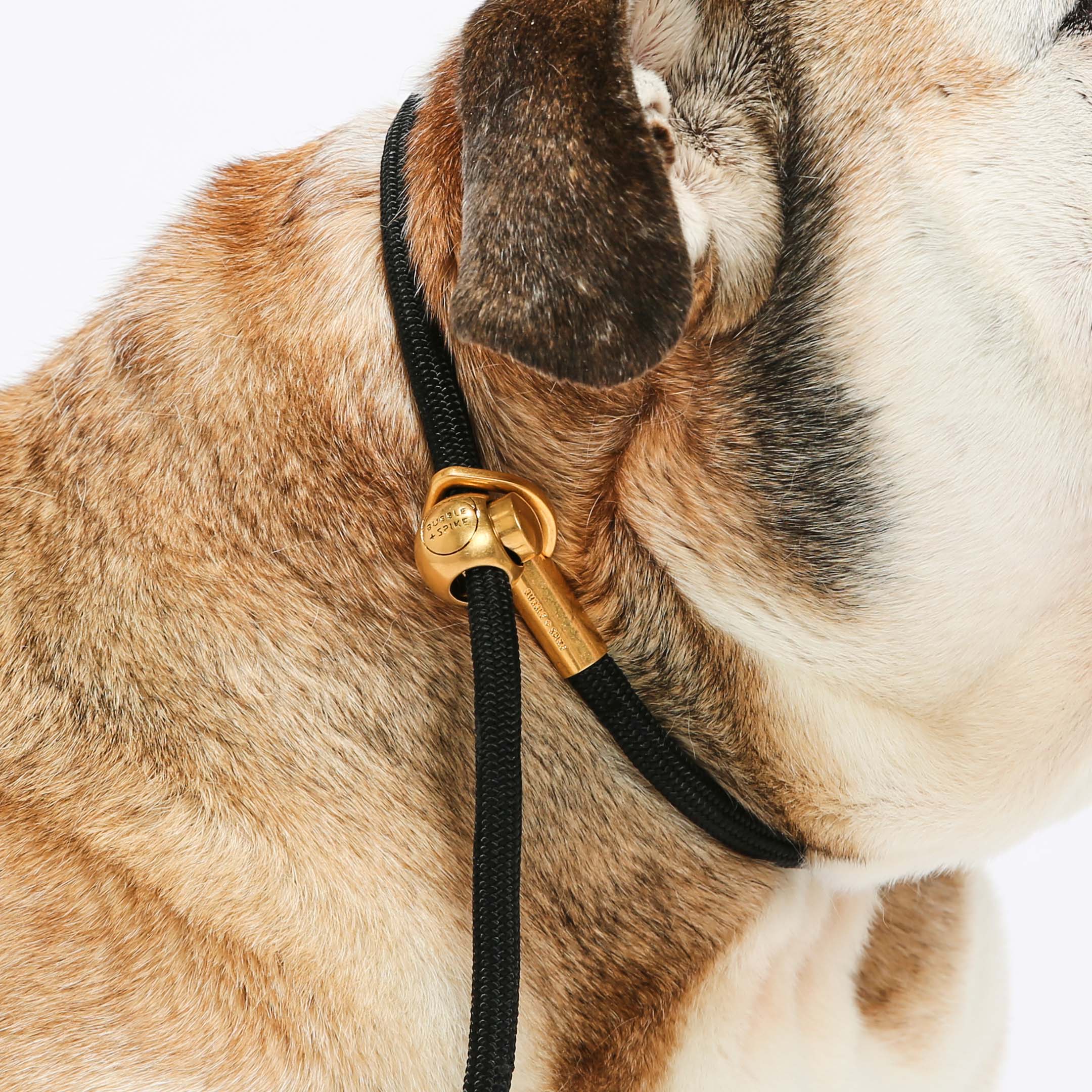 Mini Simple Slip Lead™ - Bubble & Spike