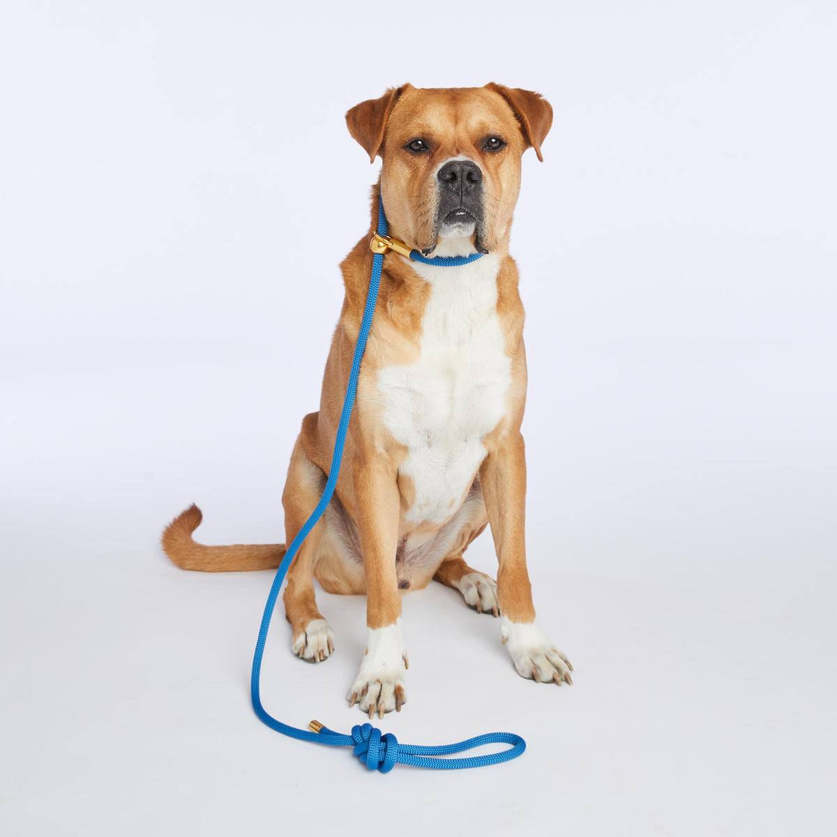 Blue Sapphire Simple Slip Lead™ - Bubble & Spike